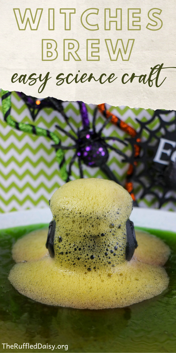 Easy and Fun Witches Brew DIY