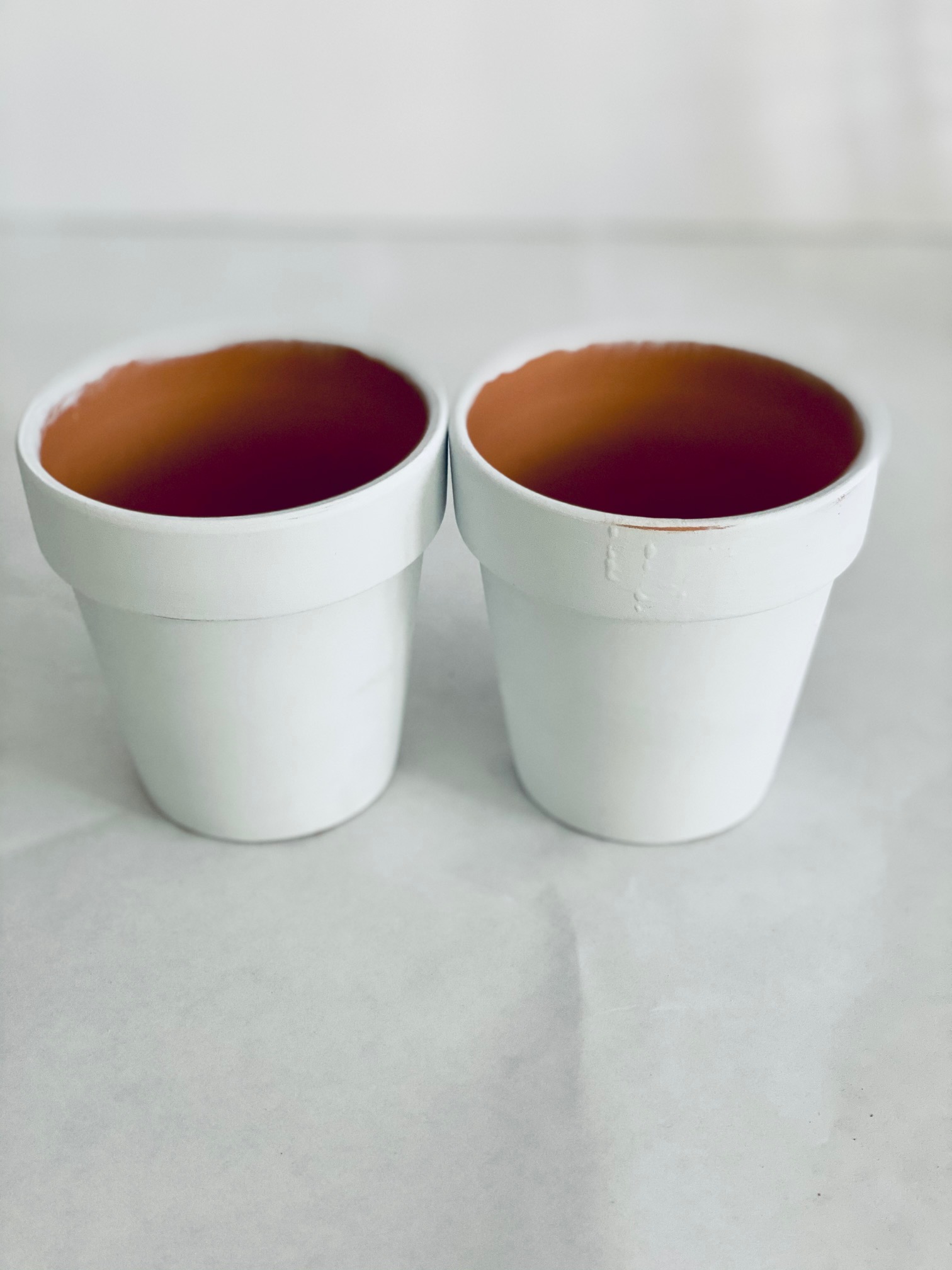 Terra Cotta Farmhouse Pots - Dollar Tree DIY