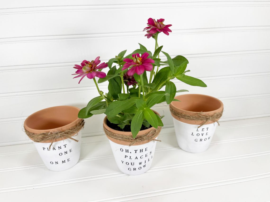 Funny Saying Clay Pots