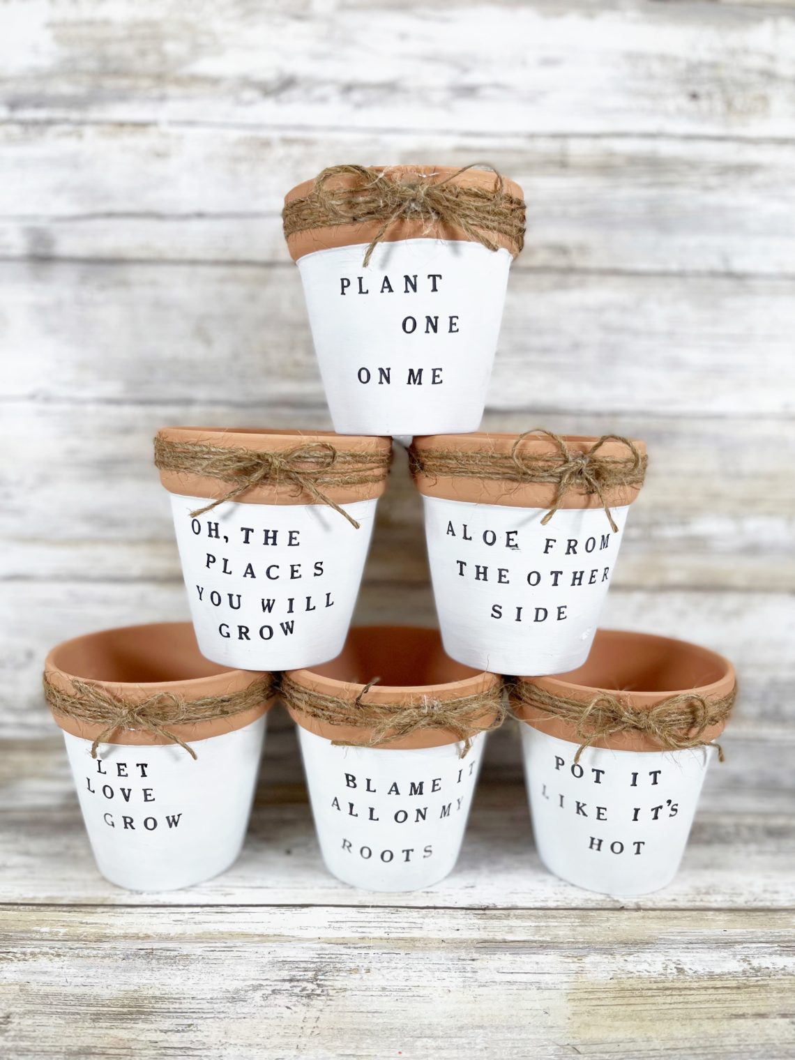 Funny Saying Clay Pots